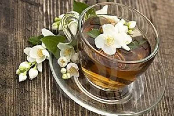 What are the functions of jasmine - The Plant Aide