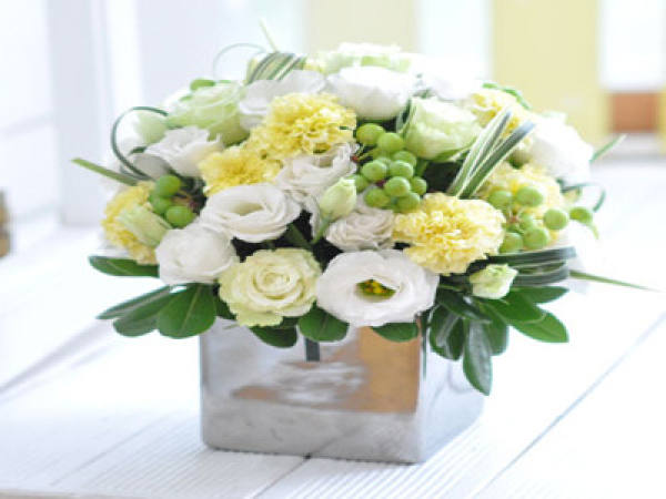 How to cut and arrange flowers of Eustoma grandiflorum - The Plant Aide
