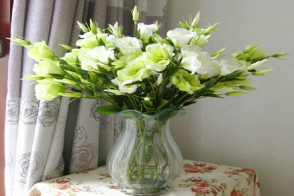 How to cut and arrange flowers of Eustoma grandiflorum - The Plant Aide