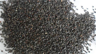 How to plant peppermint seeds - The Plant Aide