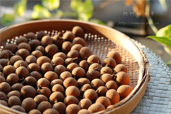 The difference between Longan and Longyuan - The Plant Aide