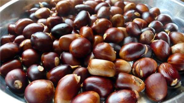 How to eat pingpo - The Plant Aide