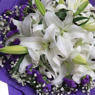 How to Identify and Treat Lily Rust Disease - The Plant Aide