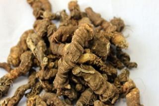 The difference between huhuanglian and Huanglian - The Plant Aide