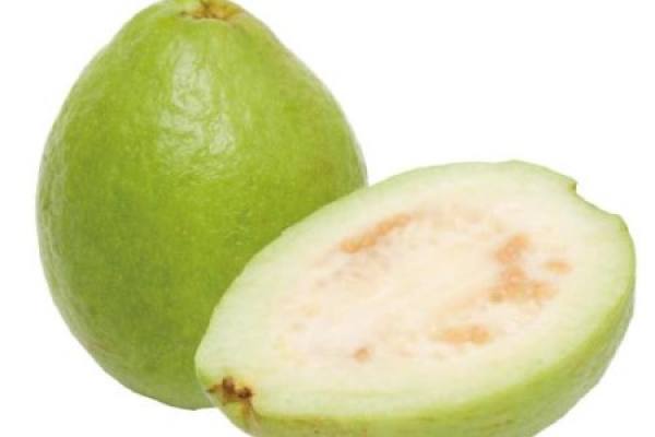 The effect and function of guava - The Plant Aide