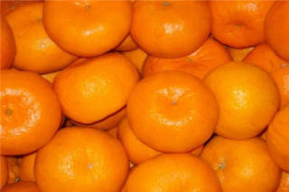 Effect and function of Ponkan - The Plant Aide