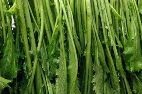 The effect and function of potherb mustard - The Plant Aide