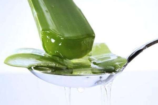 Effect and function of Aloe - The Plant Aide