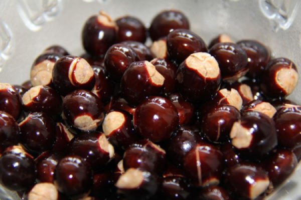 How to grow longan - The Plant Aide